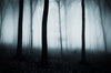 6 Chilling Signs of Paranormal Activity to Look Out For – Patti Negri
